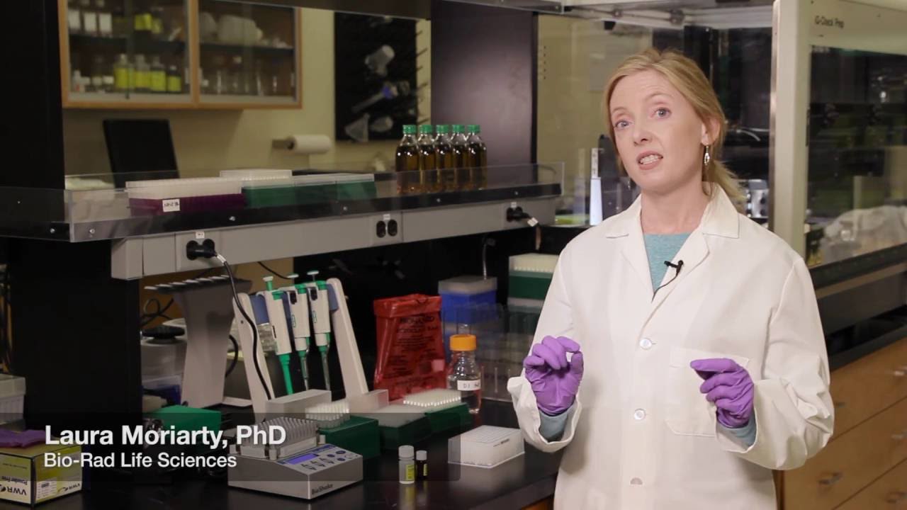 iQ-Check Free DNA Removal Solution - YouTube