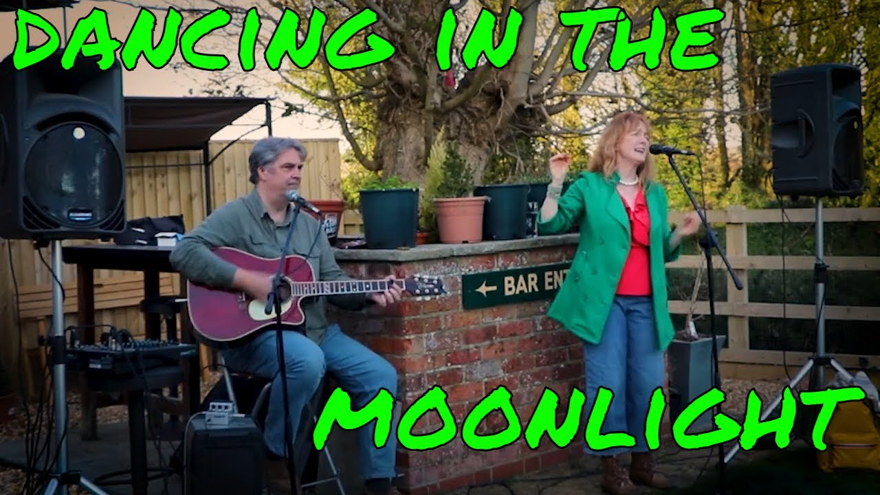 Unplugged And Alive: Irish Music In A Bar. Live Performance-Dancing In ...