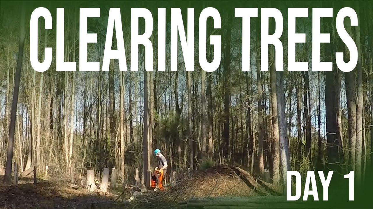 Clearing Trees for the Workshop | Day 1 | Forest to Farm - YouTube