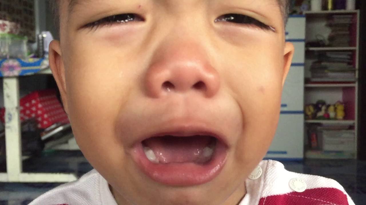 เด็กร้องไห้ จะดูแบคโฮ Kids cry | Che Chef - YouTube