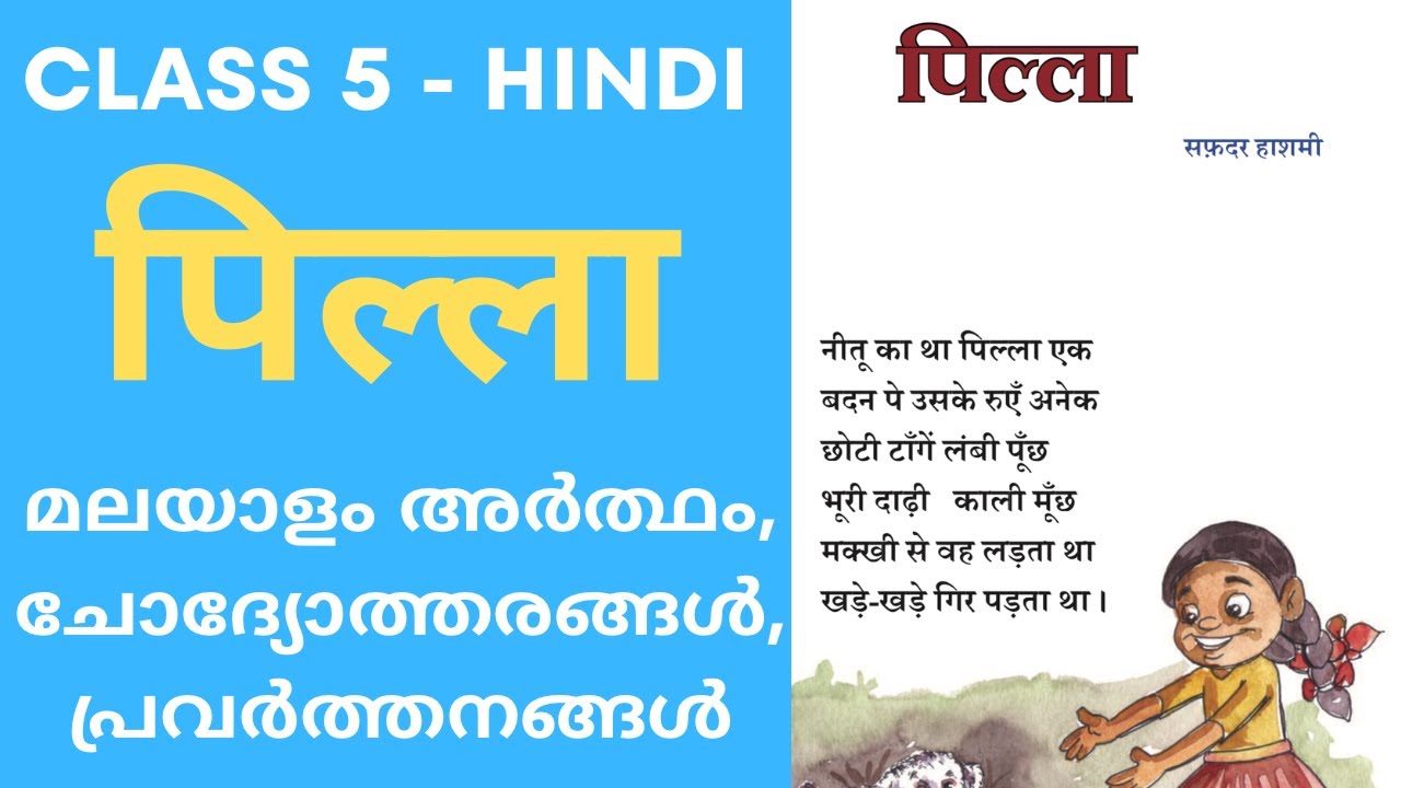 Class 5 Chapter 3 Pilla Meaning’s, Textbook Activities and Question ...