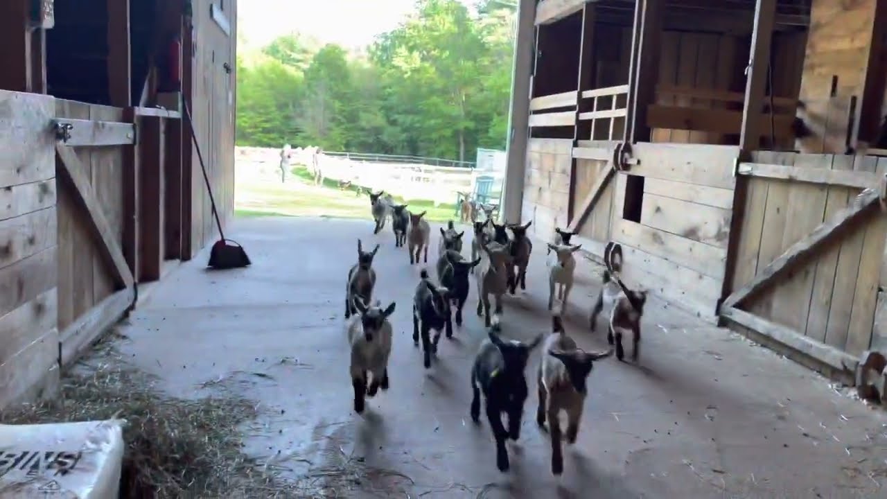 Little kids train, big kids RUN! - YouTube