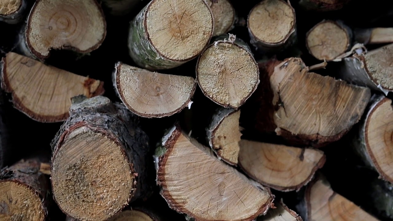 WOOD VIDEO IN 4K ULTRA HD - YouTube