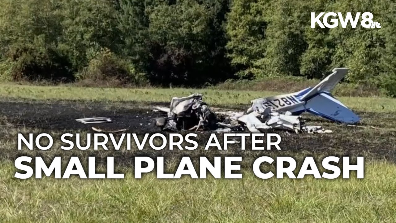 Small plane crashes near Battle Ground airstrip, leaving no survivors ...