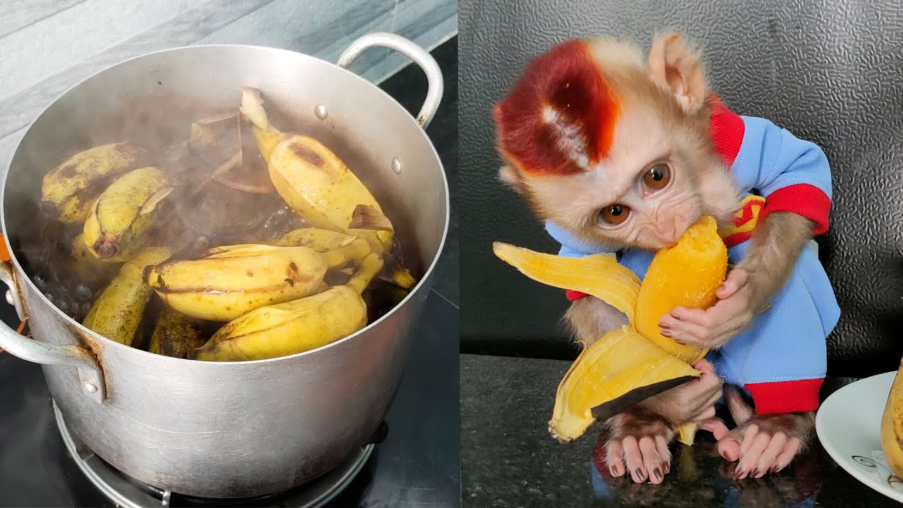 Monkey KaKa patiently waits for his mother to cook very delicious ...