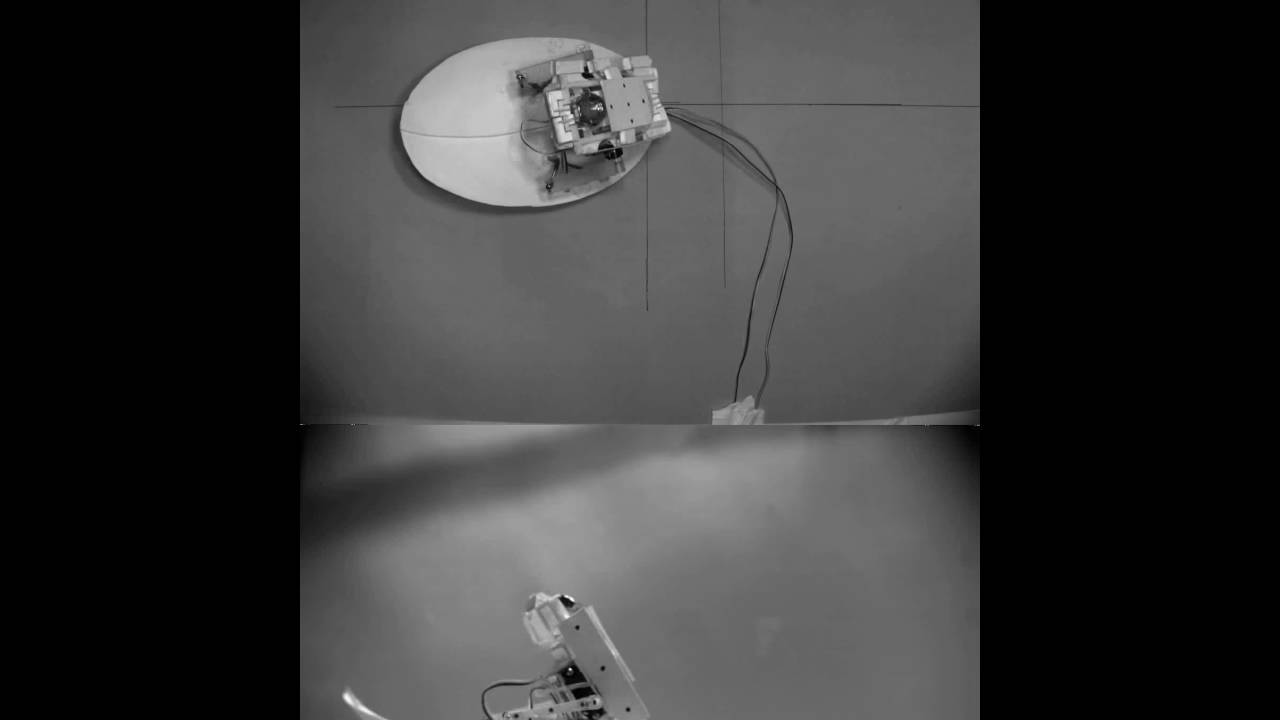 Cockroach-inspired Winged Self-Righting Robot - YouTube