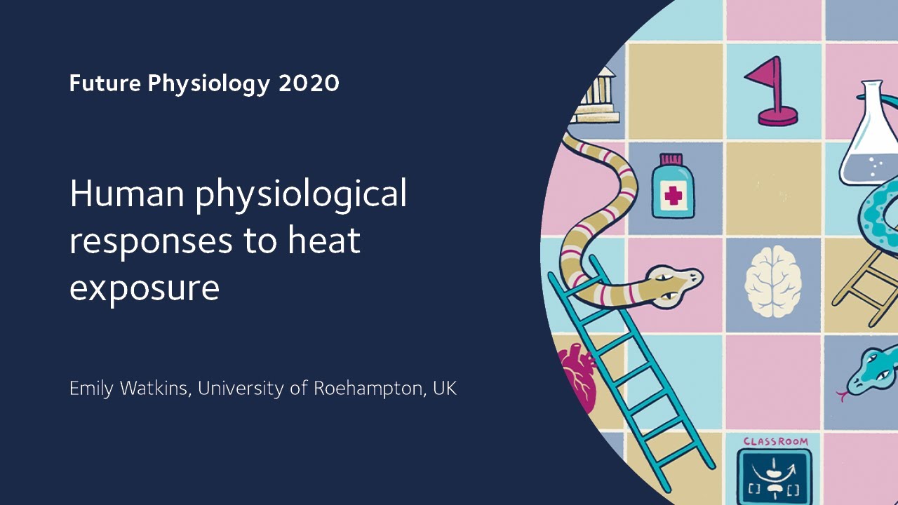 Human physiological responses to heat exposure - YouTube