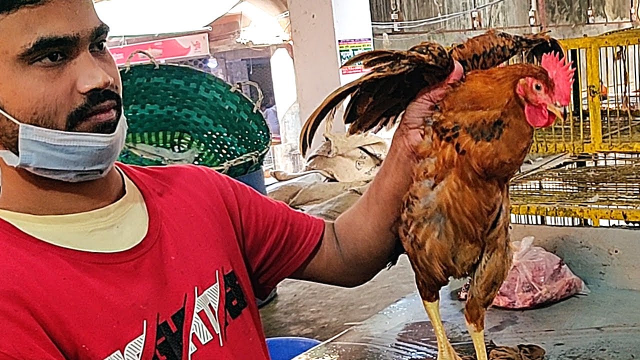 Amazing Chicken Cutting Skills In Chicken Market - Chicken Cutting Show ...