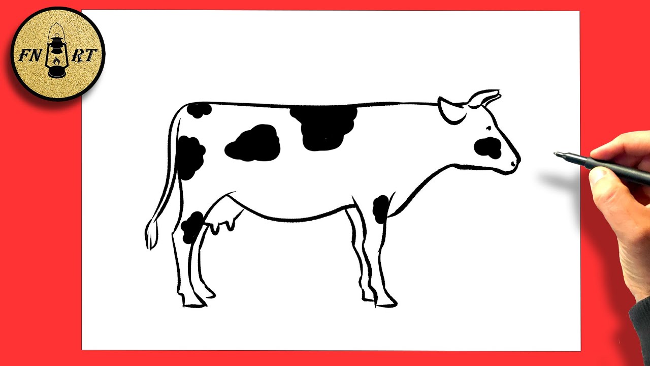 How to draw a cow body easy step by step for beginners - YouTube
