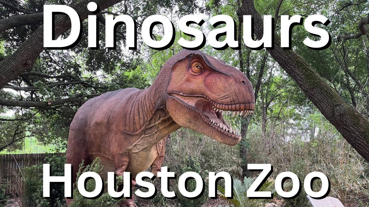 Dinosaur Tour at the Houston Zoo Texas - YouTube