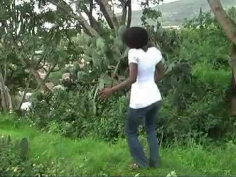 Best oromo music Alii mahammad