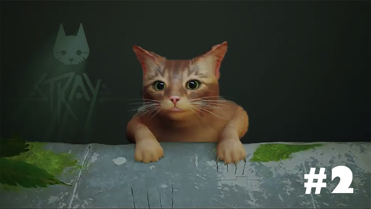 Stray #2 - YouTube