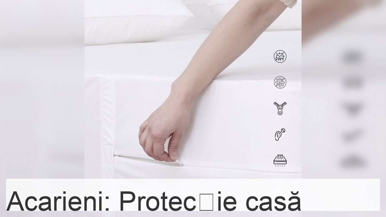 Totul despre acarieni: cum să vă protejați casa de paraziți? - YouTube