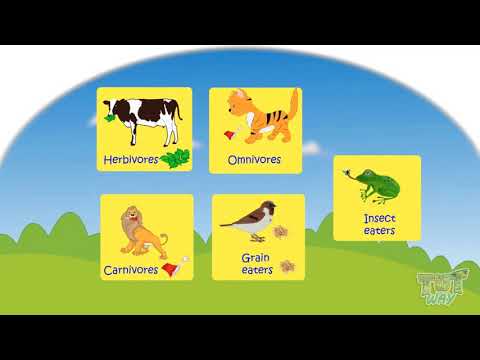 Animals Food and Shelter | Grade 1 & 2 Science | Tutway