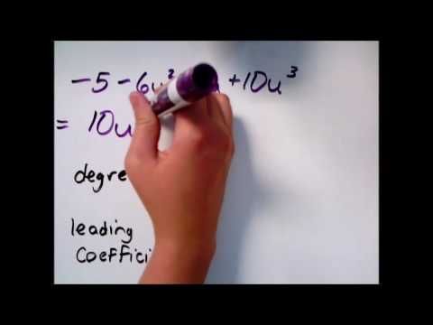 Degree and leading coefficient of a univariate polynomial - YouTube