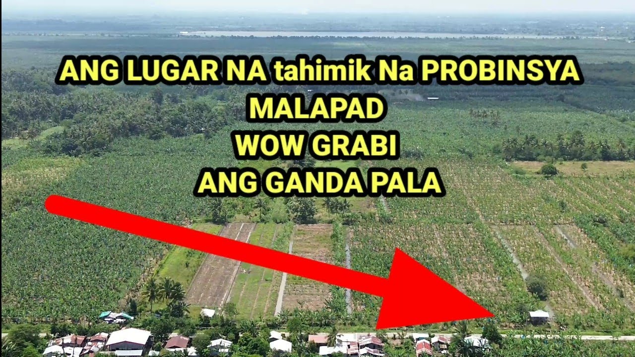 IKTARYANG TANIMAN. ANG LAPAD PALA. ALEJAL CARMEN PANABO. #panabocity # ...