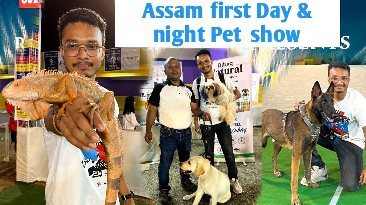 Tezpur Dog Show | Iguana and many more exotic Pet Show | First time in ...