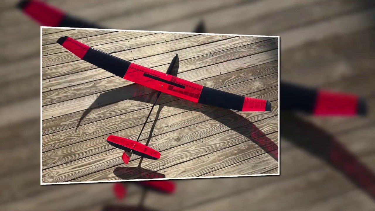 Yellow Jacket In Flight at Samantha Fredricksen blog