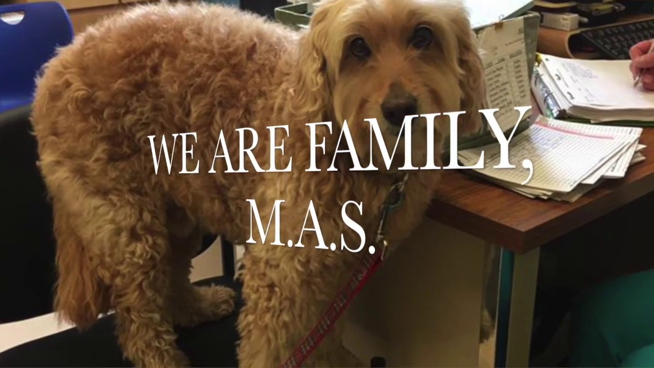 the MAS song - YouTube