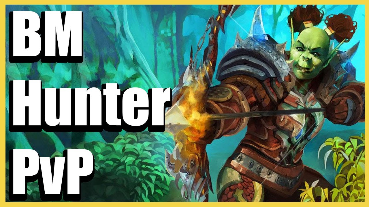 Easiest Spec in the Game - BM Hunter PvP - YouTube