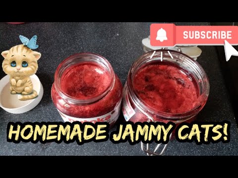 HOMEMADE JAMMY CATS - YouTube