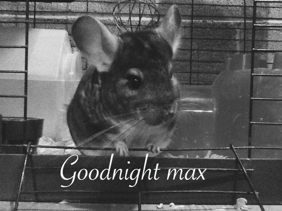 Goodnight Max - YouTube