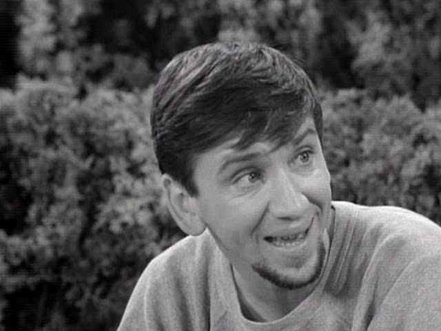 The Many Loves Of Dobie Gillis: S2 E7 - Maynard G. Krebs, Boy ...