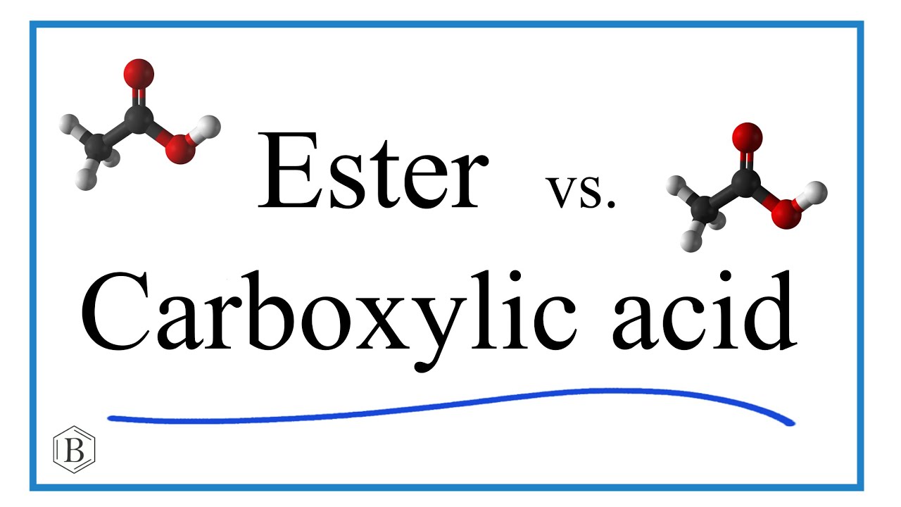 Esters vs. Carboxylic Acids: Structures, Differences, and Examples ...