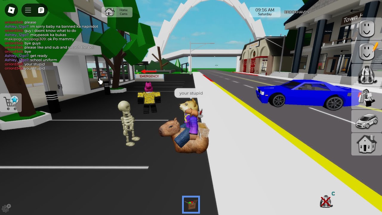 trying to roast people in roblox brookhaven - YouTube