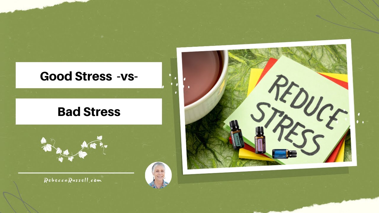 Good Stress VS Bad Stress - YouTube