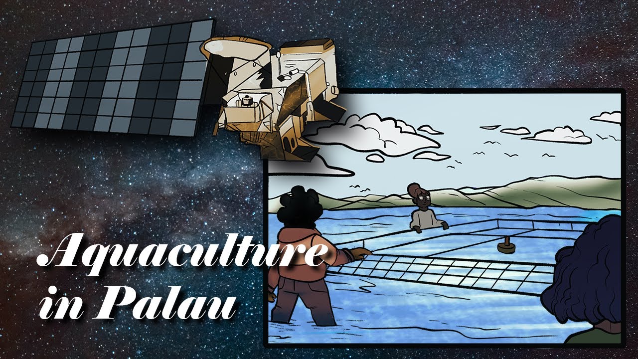 Aquaculture In Palau (Animated Story) - YouTube