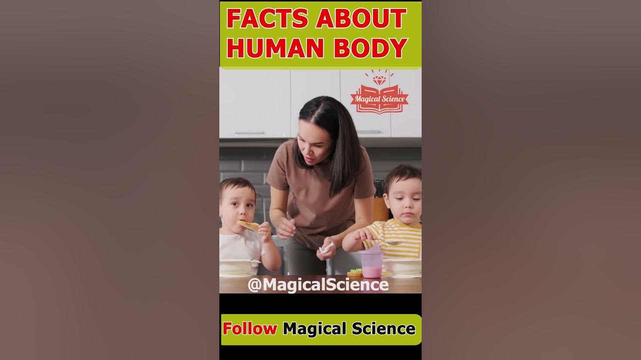 Amazing Facts About Human Body | Viral facts | Shorts - YouTube
