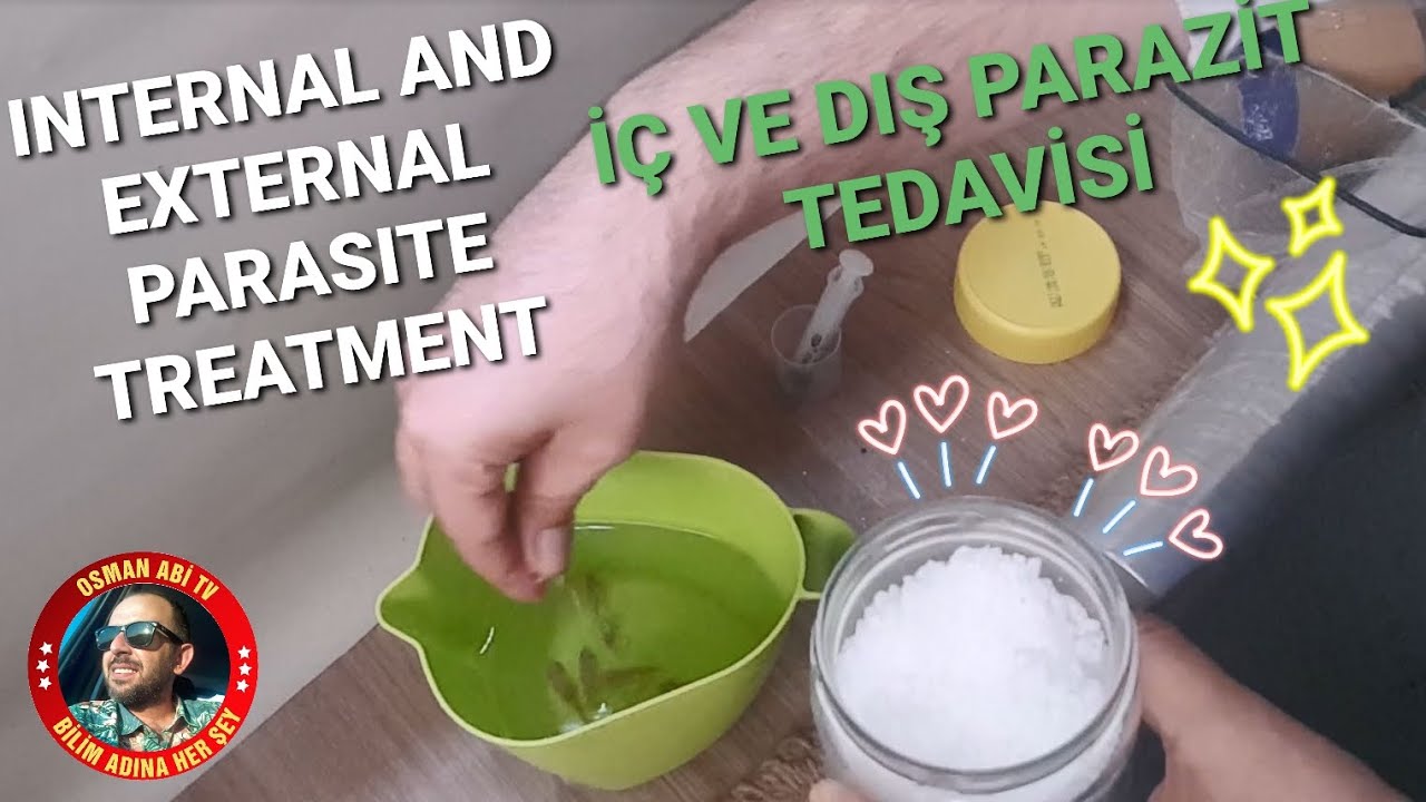 İÇ VE DIŞ PARAZİT TEDAVİSİ #osmanabitv #aquarium #lepistes - YouTube