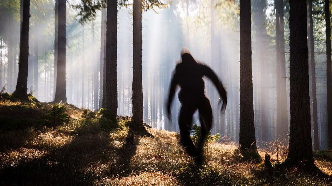 Big Muddy Monster: The Mystery in Murphysboro, Illinois - YouTube