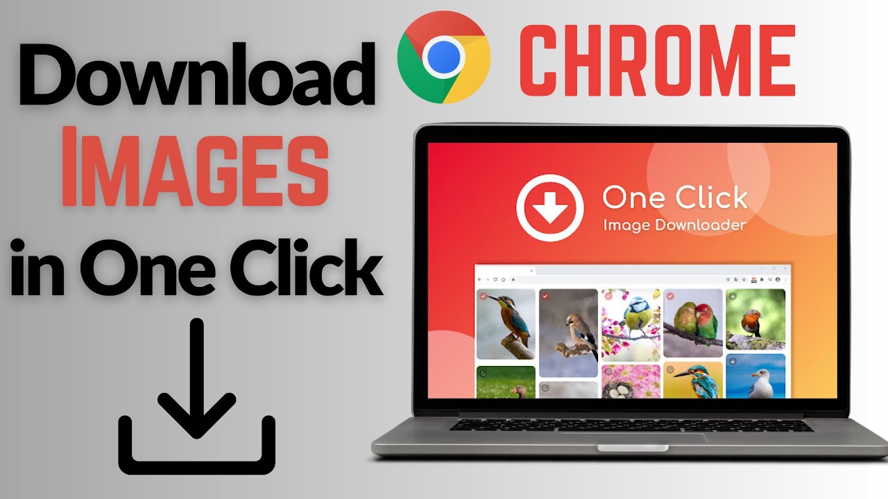 How to download Images from Google in laptop | How to Download Images ...