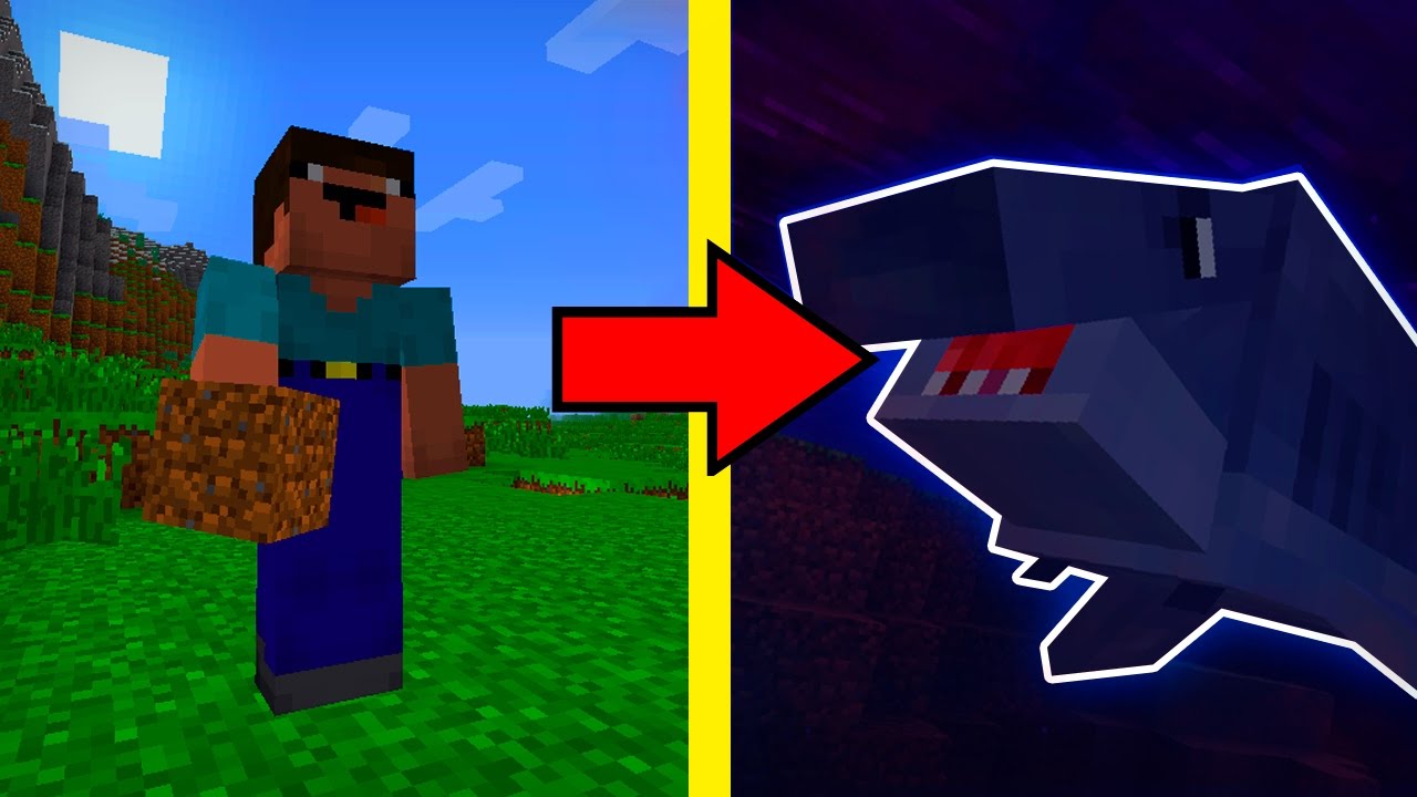 NOOB vs MINECRAFT - O TUBARÃO ATACOU O NOOB!! (SHARK ATTACK) - YouTube