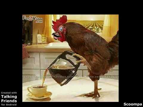 Jaldi kigiye Thora chai bhi pi legiye