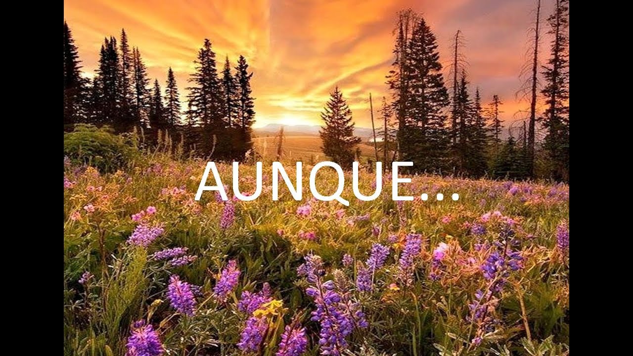 Aunque - YouTube