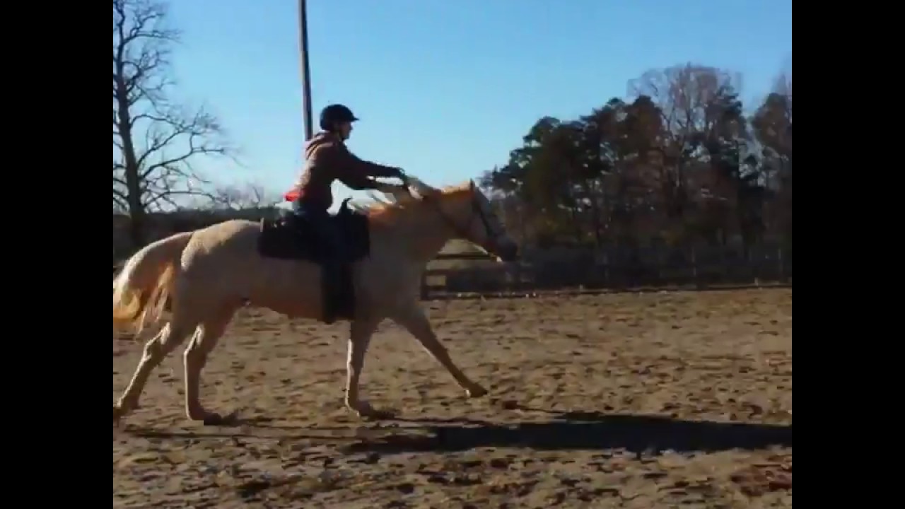 Barrel Racing Lesson on Zip - YouTube