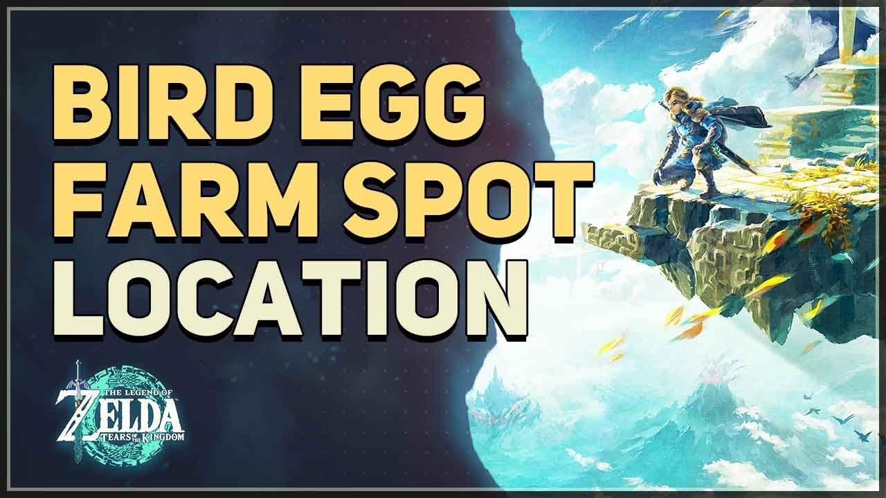 Bird Egg Farm Spot Location Legend of Zelda Tears of the Kingdom - YouTube