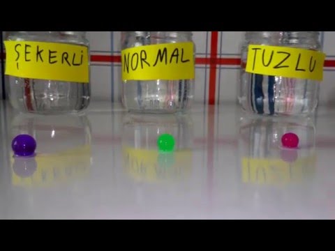Su Maymunu Hangisinde Daha Çok Büyür ? - Tuzlu ve şekerli