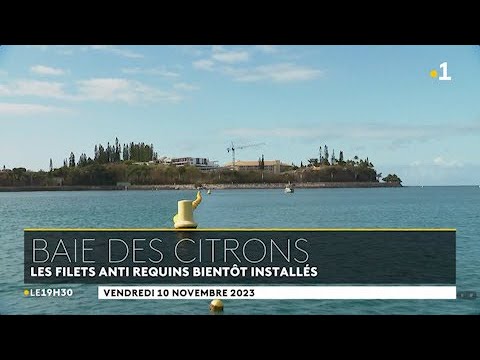 🇳🇨 A quoi ressemble le premier filet anti-#requins en Nouvelle ...