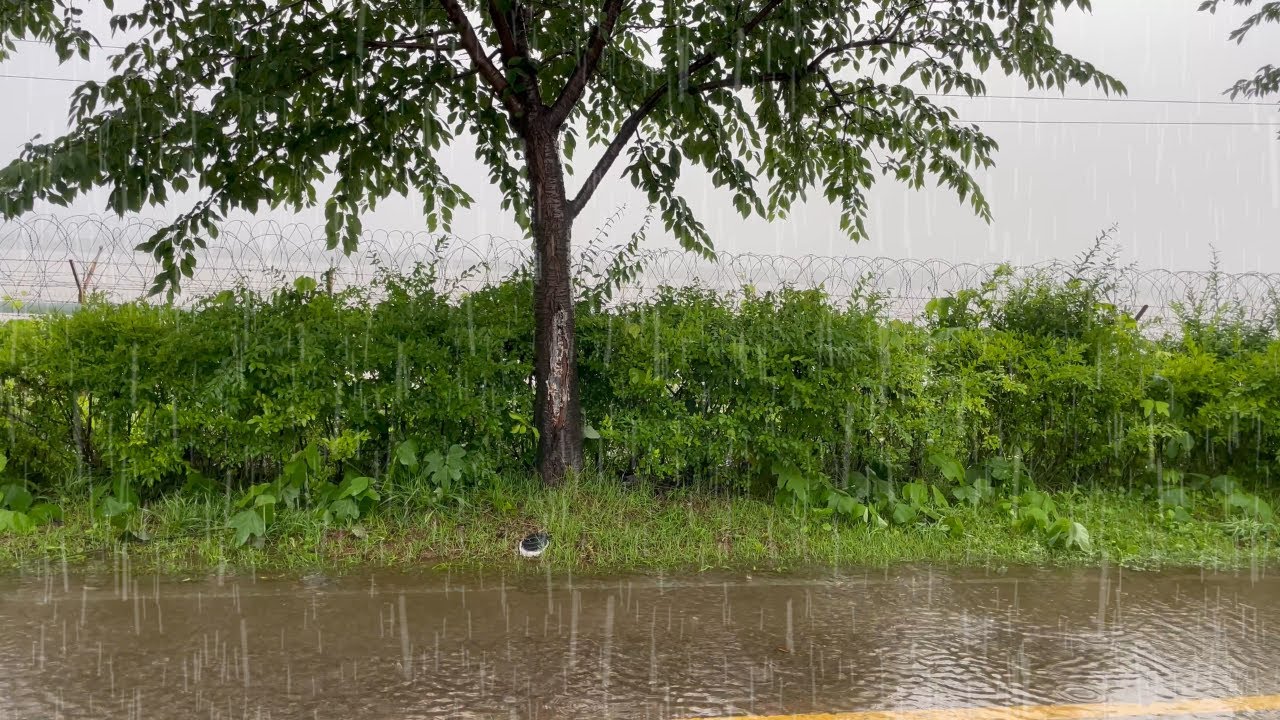 PLEASANT RAIN on a street for relaxing studying, calming your mind and ...