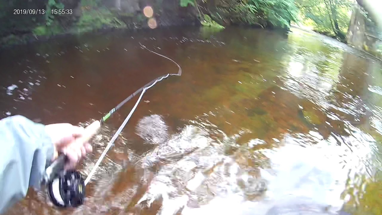 Fly fishing the North Calder Water - YouTube