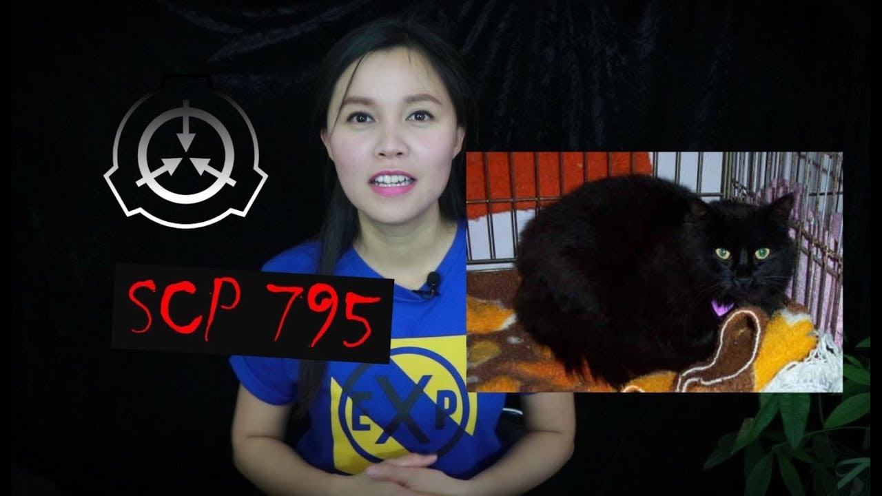 SCP 795 II Con Mèo Có Khả Năng Cực Kỳ Bá Đạo II Euclid - Nguy Hiểm ...