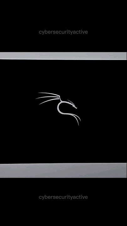 Hacker Attitude Status Subscribe For More Videoshacker Hack Shortfeed Youtube