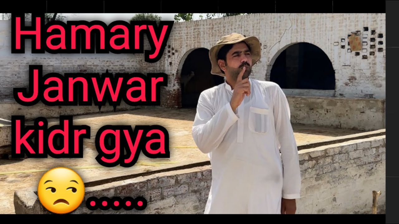 Hamary janwar kidr gya 😲…..@umar_sajjad - YouTube