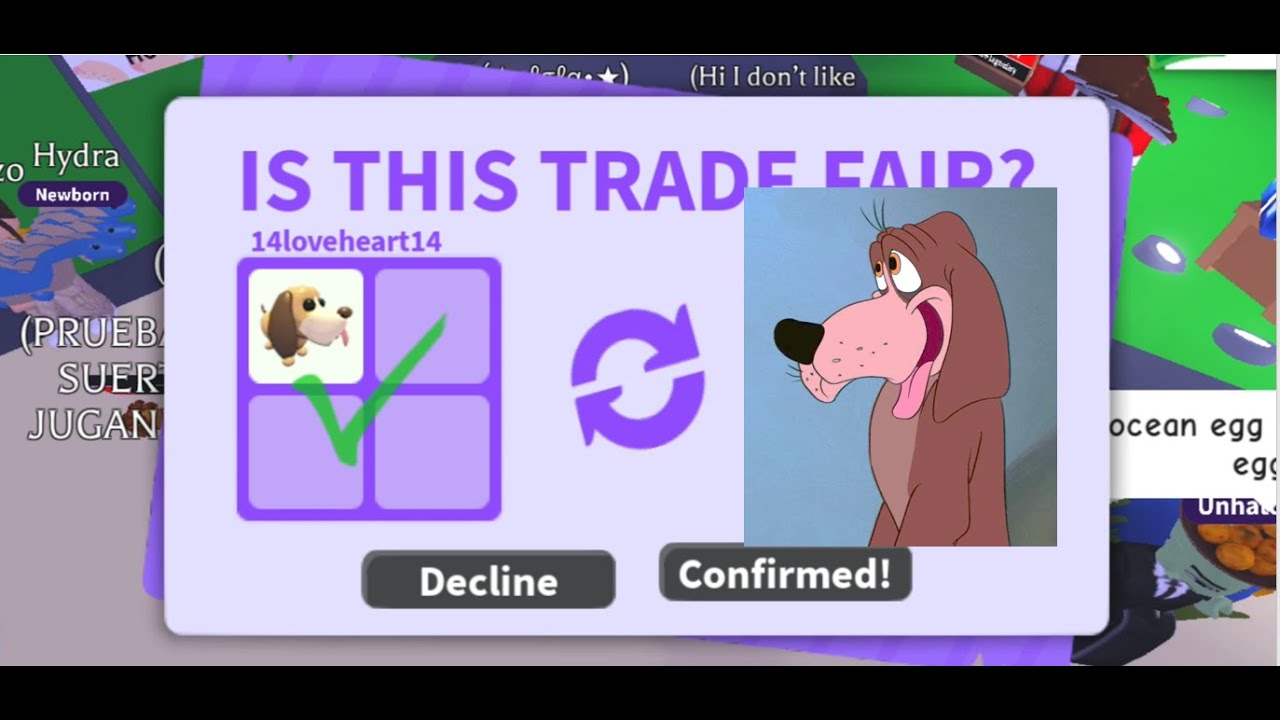 HUGE OVERPAY FOR *NEW* BLOODHOUND 😱 WHICH COSTS 600 BUCKS ONLY! 😲 Adopt ...