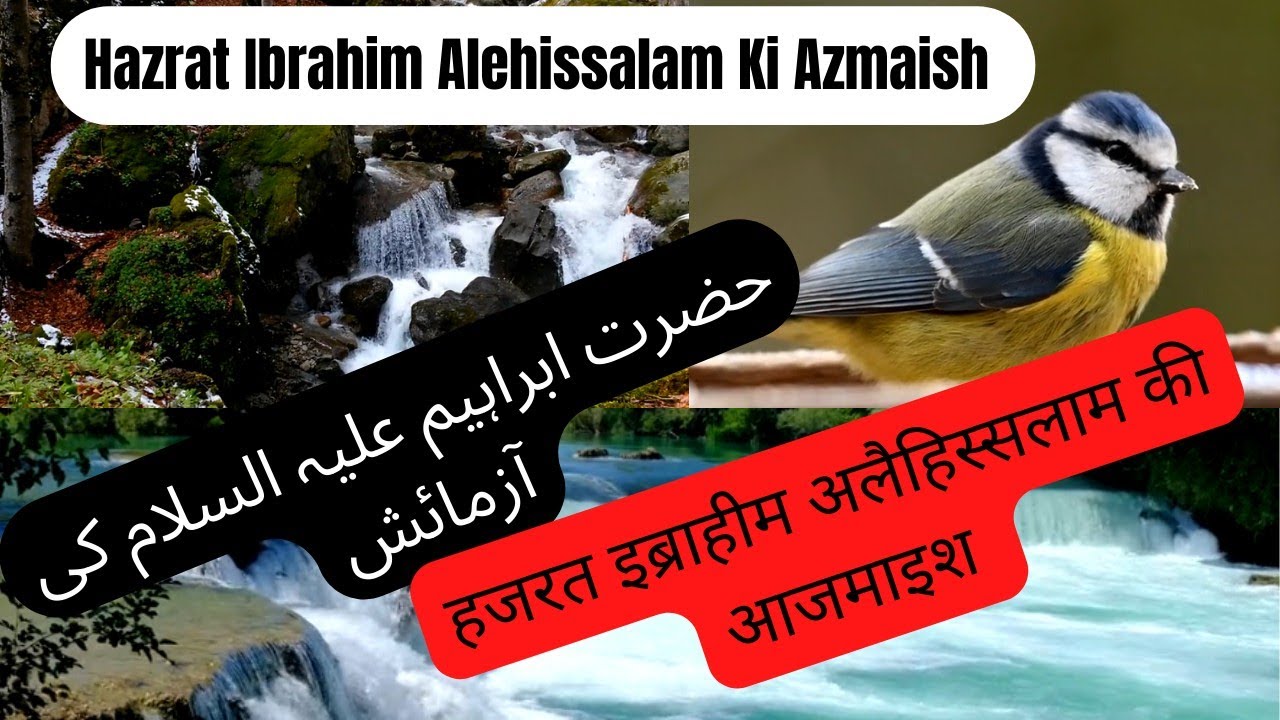 Hazrat Ibrahim अलेहिस्सलाम की Azmaish | Azmaish of Hazrat Ibrahim ...