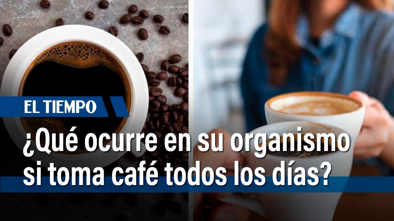 ¿Qué ocurre en su organismo si toma café todos los días? Expertos ...